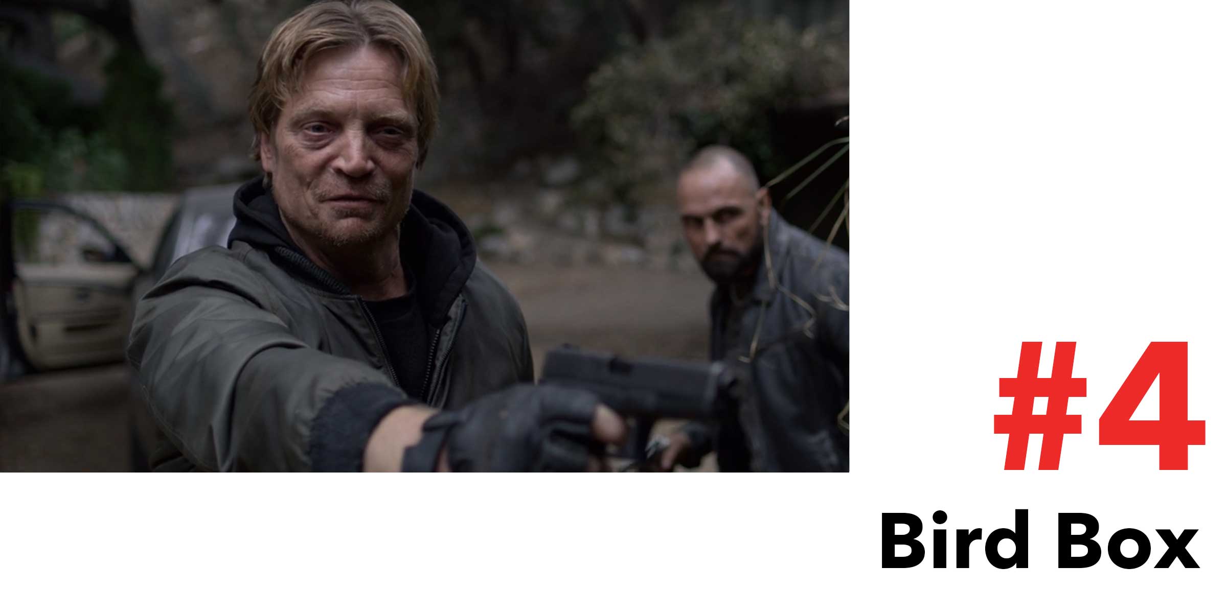 bird box number four | Post Apocalyptic Media