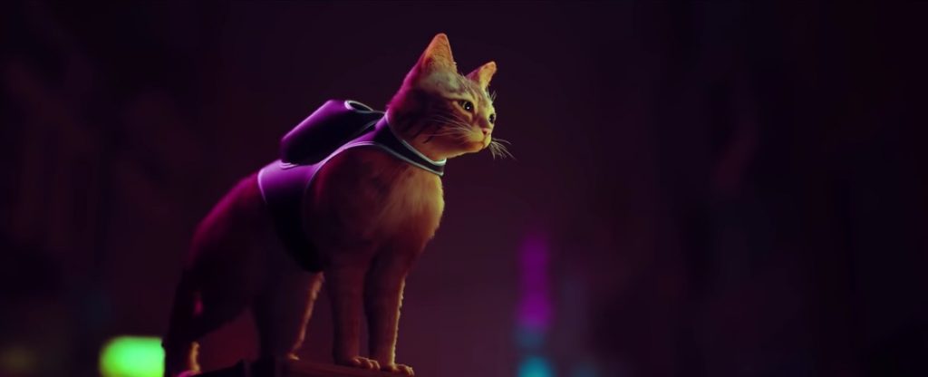 STRAY: Post-Apocalyptic Game About a Cat Coming to PS5